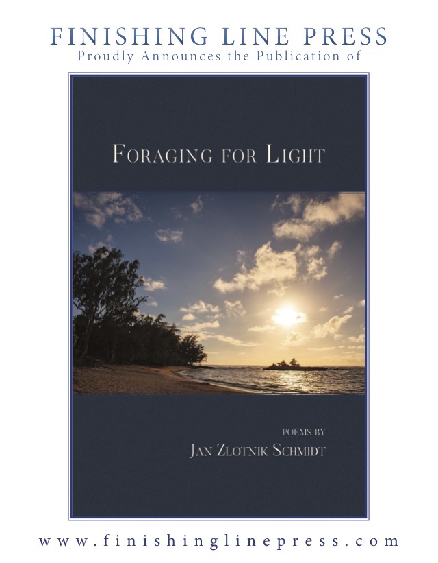 Foraging for Light: poems by Jan Zlotnik Schmidt, reviewed by Laurence ...