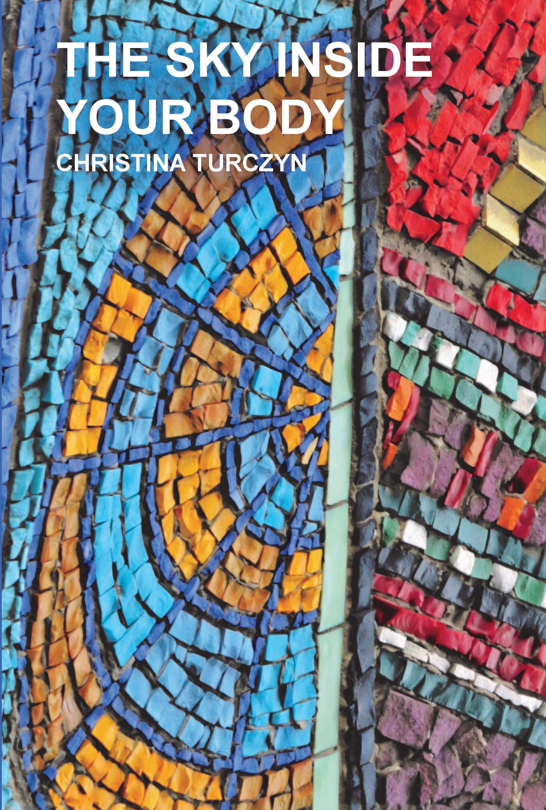 The Sky Inside Your Body/ poems by Christina Turczyn/book review by ...